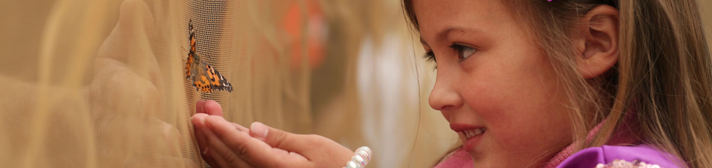 Entomology Outreach Program | Department of Entomology